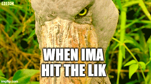 When Ima hit the lik - Imgflip