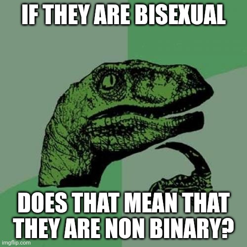 Are they actually non binary cuz they are bisexual? - Imgflip