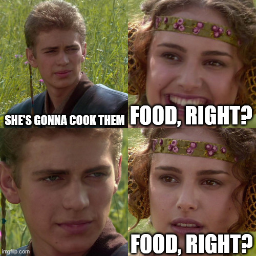 Anakin Padme 4 Panel - Imgflip