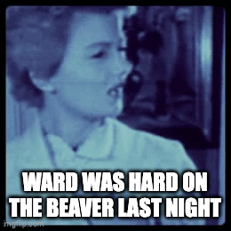 Ward was hard on The Beaver last night - Imgflip
