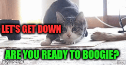 Are you ready to Boogie - Imgflip