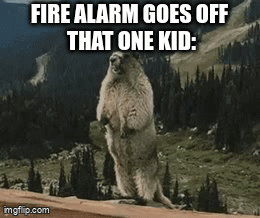 gopher scream - Imgflip