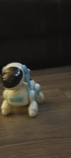 My robodog! - Imgflip