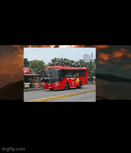 Red bus VS yellow bus - Imgflip