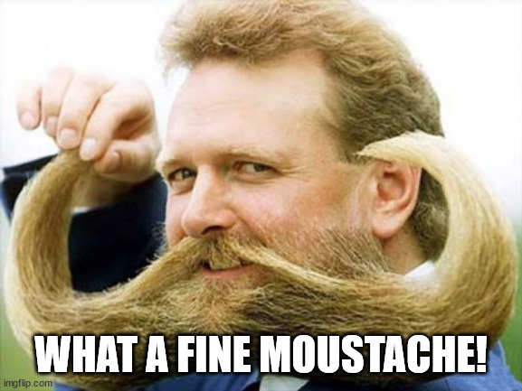 COME HERE- FISHY, FISHY, FISHY! - Imgflip