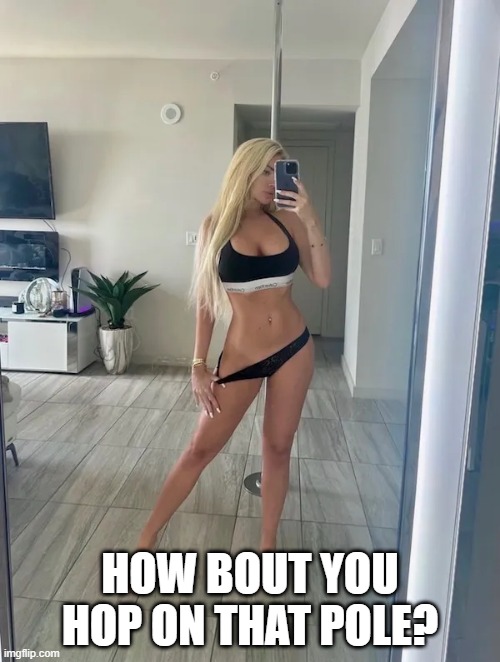 Pole - Imgflip
