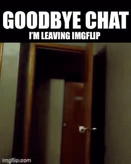 Corrupt IRL Bye Chat - Imgflip