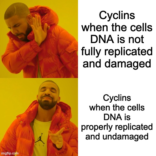 Drake Hotline Bling Meme - Imgflip