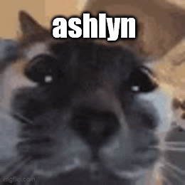 ashlyn - Imgflip