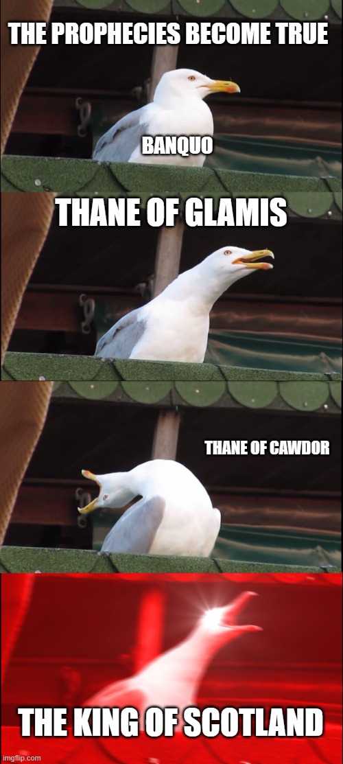 Inhaling Seagull Meme - Imgflip