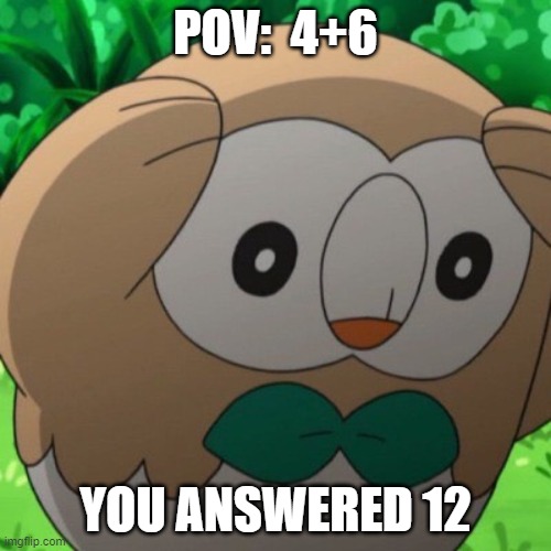 Rowlet Meme Template - Imgflip