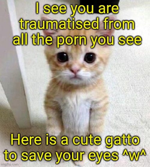 Hope this helps owo - Imgflip