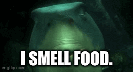 Me when I smell food - Imgflip