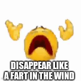 Disappear like a fart in the wind - Imgflip