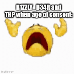 NOOOOO - Imgflip