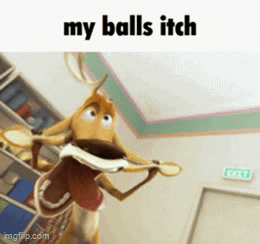 my balls itch - Imgflip