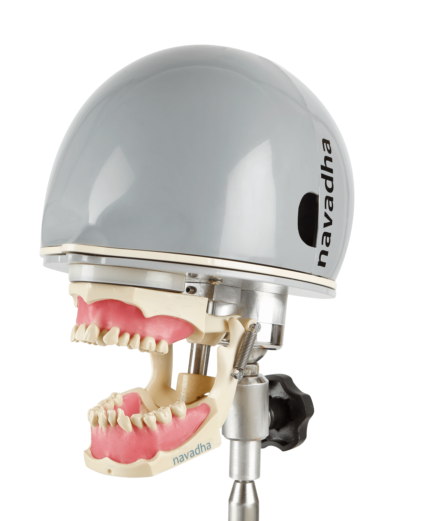 Dental Phantom Blank Template - Imgflip