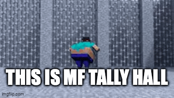 this is mf tally hall!!!!!!!!!!! - Imgflip