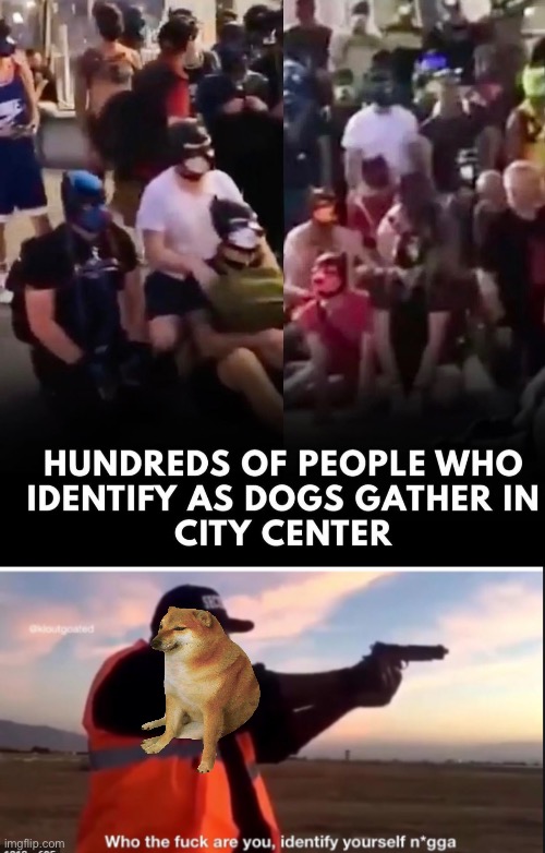 Image tagged in identify yourself,dogs,dog,doge,identity politics,gender identity - Imgflip
