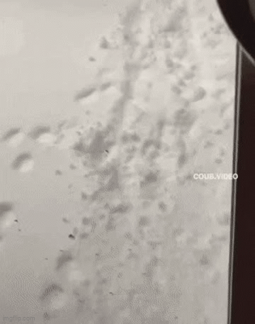 Snow ? NO ! - Imgflip