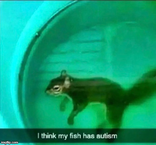 What should I do guys - Imgflip