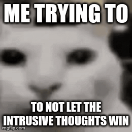 they are winning - Imgflip