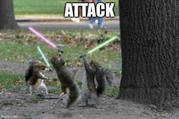 Jedi Squirrels - Imgflip