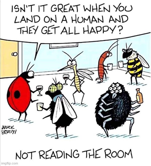 Not Reading the room Cartoon funny insects bugs joke JPP - Imgflip