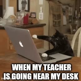 Typing kitty - Imgflip