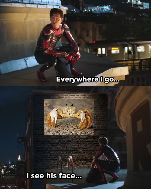 Everywhere I go I see his face - Imgflip