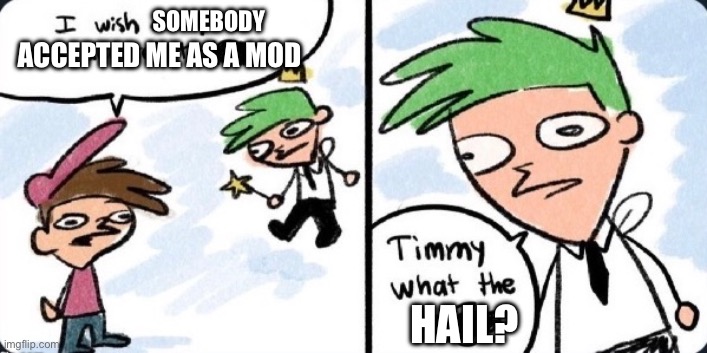 Timmy, what duh HAAAAIIIIL? - Imgflip