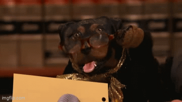 Triumph, The Insult Comic Dog - Imgflip