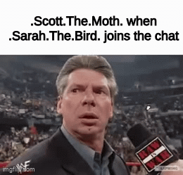 random idea - Imgflip