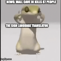 sign language translator be like - Imgflip