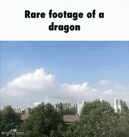 its a real dragon!!! - Imgflip