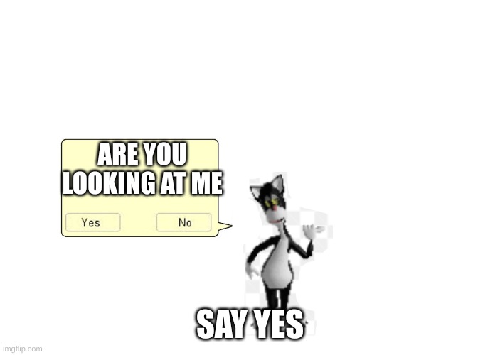 cat from microsoft - Imgflip