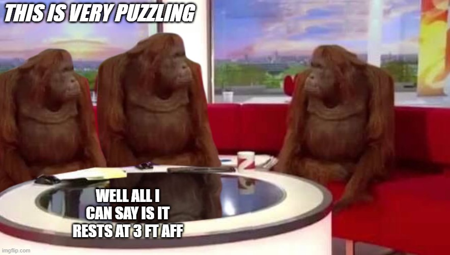 where monkey - Imgflip