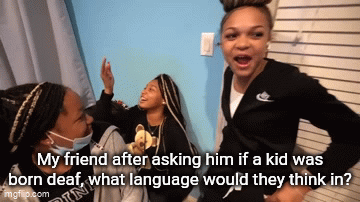 Pls! Answers! - Imgflip