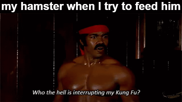 Hammy Hagar was angry - Imgflip