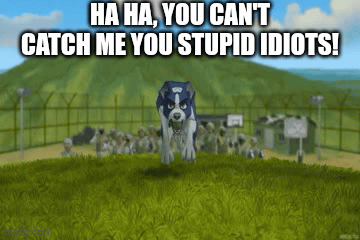 A Dog's Courage AKA Underdog Meme - Imgflip