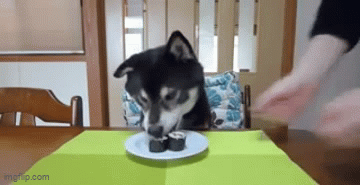 Sushi rolls - Imgflip