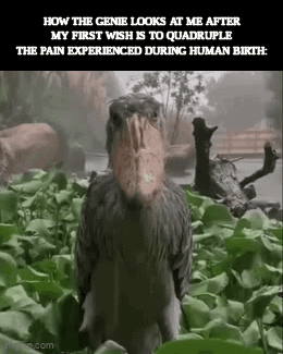 Bird stare meme in rain - Imgflip
