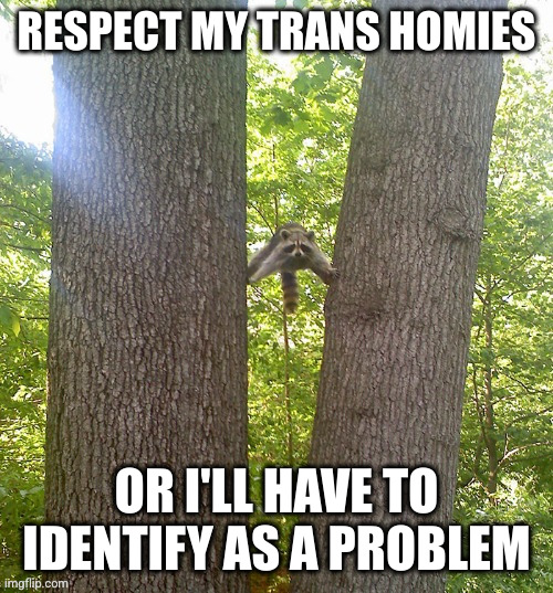 Do you consider "i identify as x" jokes transphobic? : r/trans