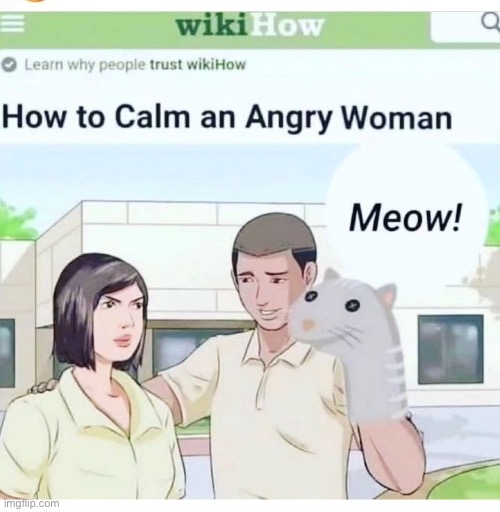 it works i can confirm - Imgflip