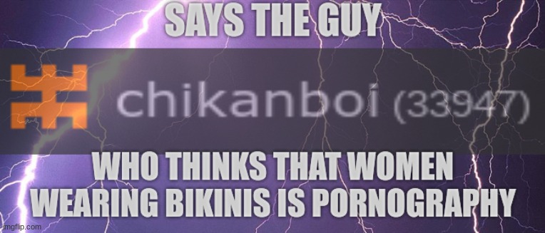 says the guy who thinks that women wearing bikinis is porn - Imgflip