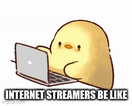 Internet streamers be like - Imgflip