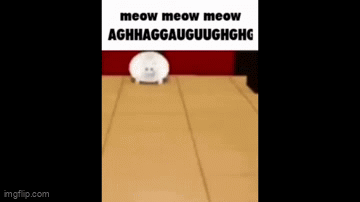 Animated GIF - Imgflip