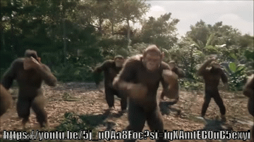 Dancing monkeys - Imgflip