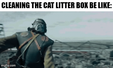 Cleaning the cat litter box be like - Imgflip