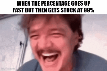When the percentage goes up fast but then gets stuck at 99% - Imgflip